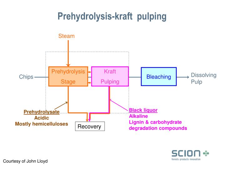 PPT - Prehydrolysis-kraft pulping PowerPoint Presentation - ID:2316193