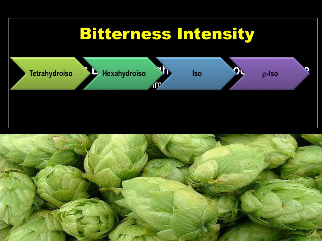 PPT - The Bitter, Twisted Truth of the Hop 50 Years of Hop Chemistry ...