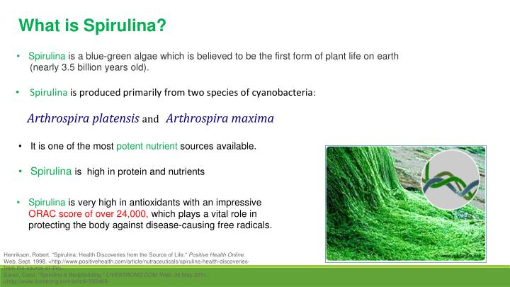 PPT - SPIRULINA PowerPoint Presentation - ID:2316354