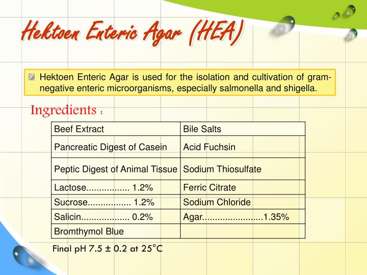 PPT - Routine & Special stool culture PowerPoint Presentation - ID:2316408