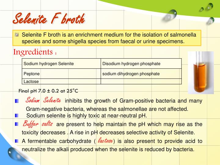 PPT - Routine & Special stool culture PowerPoint Presentation - ID:2316408