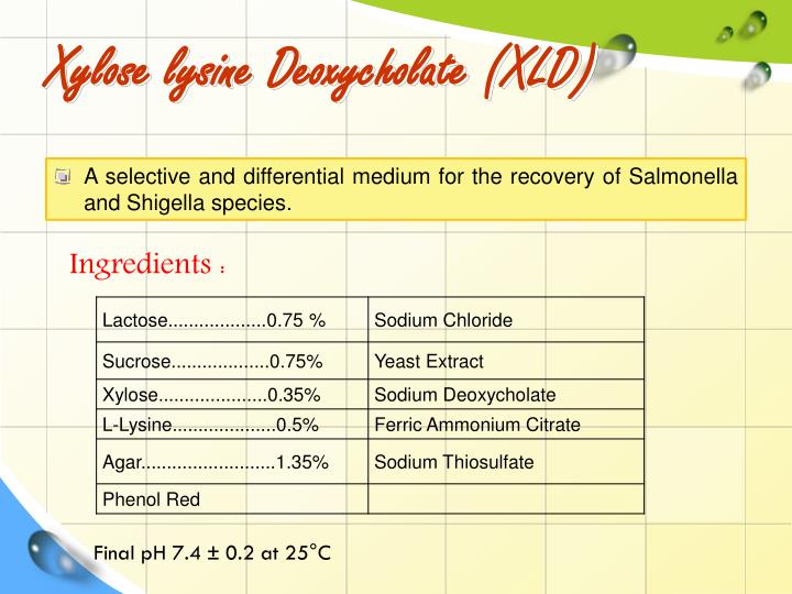 PPT - Routine & Special stool culture PowerPoint Presentation - ID:2316408