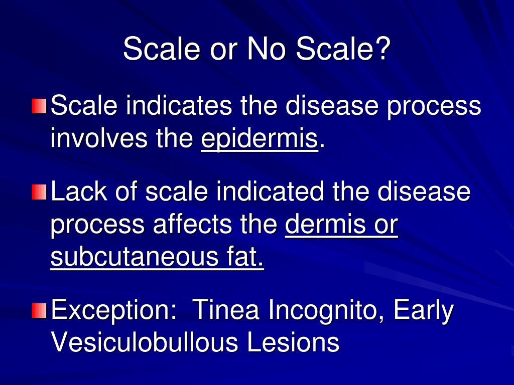 PPT - Dermatologic Manifestations of Chronic Disease PowerPoint ...