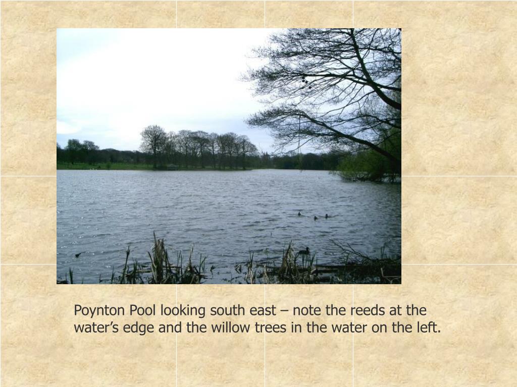PPT - Succession A Case Study – Poynton Park and Pool – an arrested ...