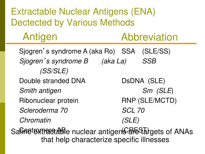 PPT - Rheumatology Update: Pearls for Primary Care PowerPoint ...