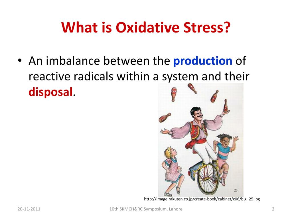 PPT - Oxidative Stress: Implications for Cancer Therapy PowerPoint ...