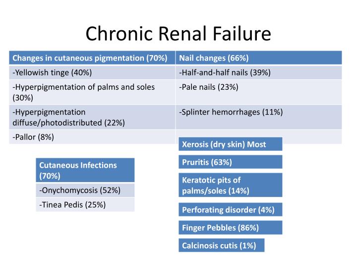 PPT - Cutaneous Manifestations of Renal Disease PowerPoint Presentation ...