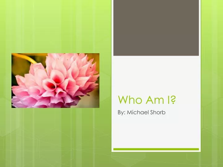 PPT - Who Am I? PowerPoint Presentation, free download - ID:2316724