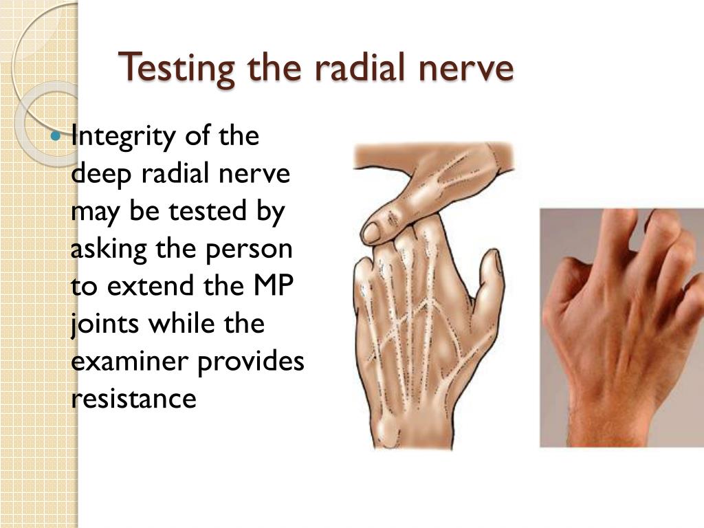 PPT - WINDSOR UNIVERSITY SCHOOL OF MEDICINE St.Kitts PowerPoint ...