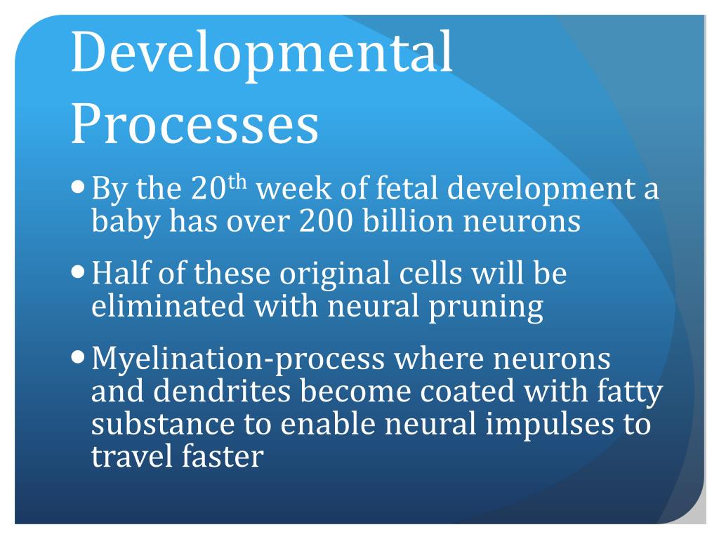 PPT - ED 260-Educational Psychology PowerPoint Presentation, free ...