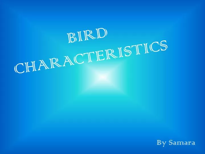 PPT - BIRD CHARACTERISTICS PowerPoint Presentation, free download - ID ...