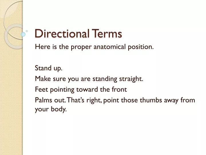 PPT - Directional Terms PowerPoint Presentation, free download - ID:2318412