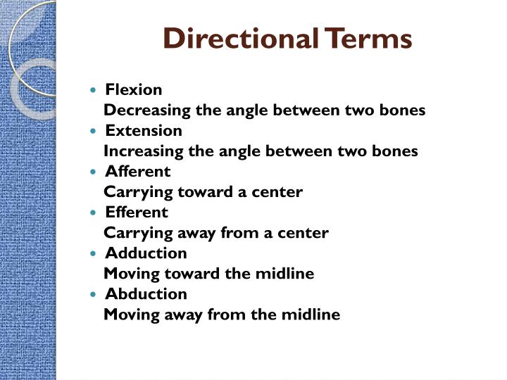 Directional Terms