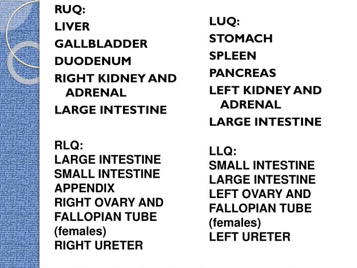 PPT - Intro to the Human Body – Directional Terms, Planes, Quadrants ...