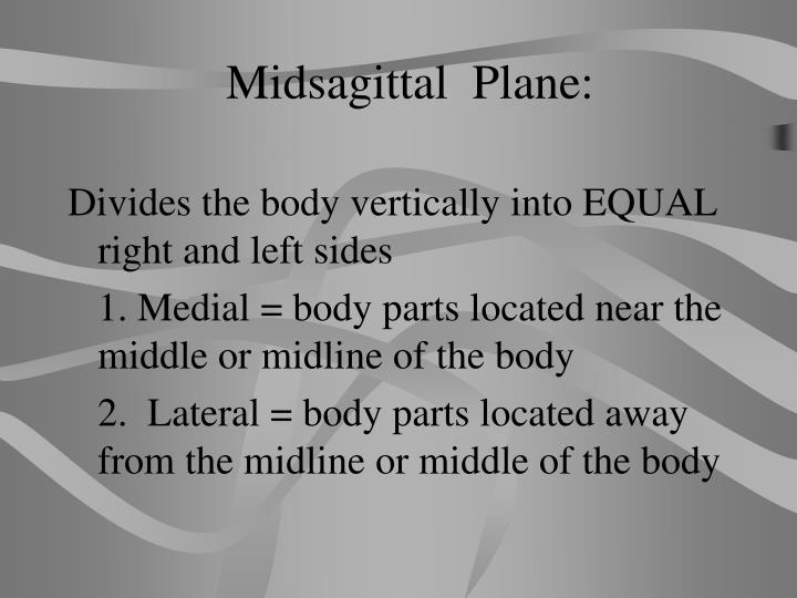 PPT - Body Planes, Directions, and Cavities PowerPoint Presentation ...