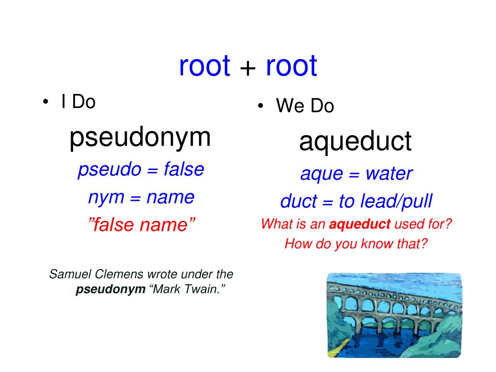 PPT - English Words from Latin & Greek Roots PowerPoint Presentation ...