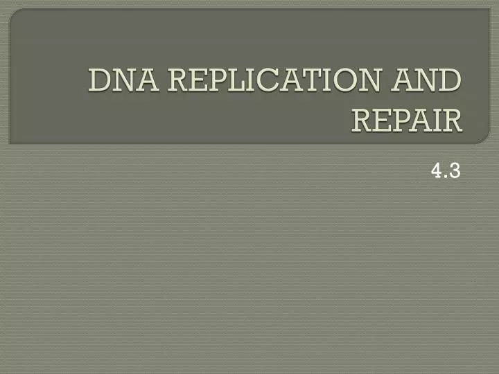 PPT - DNA REPLICATION AND REPAIR PowerPoint Presentation, free download ...