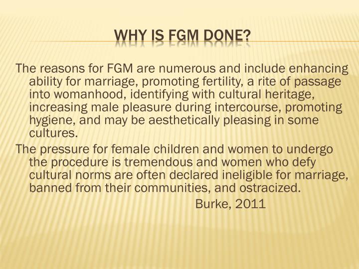 PPT - Female Genital Mutilation (FGM)/circumcision PowerPoint ...