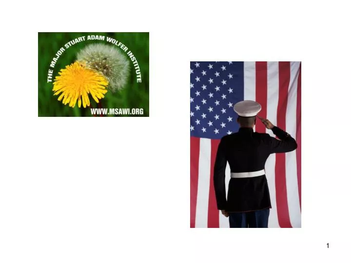 PPT - MAJOR STUART ADAM WOLFER (z”l) PowerPoint Presentation, free ...
