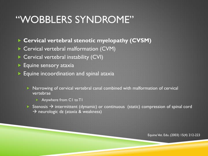 PPT - Equine cervical vertebral stenotic myelopathy Accession# 139543 ...