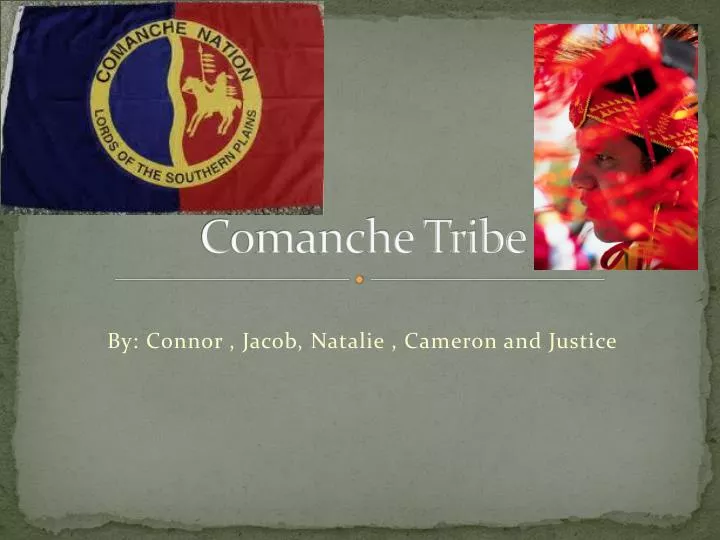 PPT - Comanche Tribe PowerPoint Presentation, free download - ID:2320327