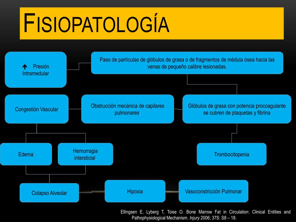 PPT - Síndrome de Embolia grasa liliana paola correa fellow i medicina ...
