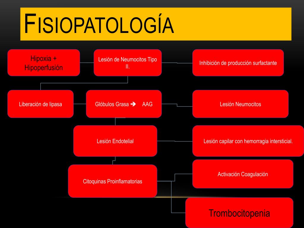 PPT - Síndrome de Embolia grasa liliana paola correa fellow i medicina ...