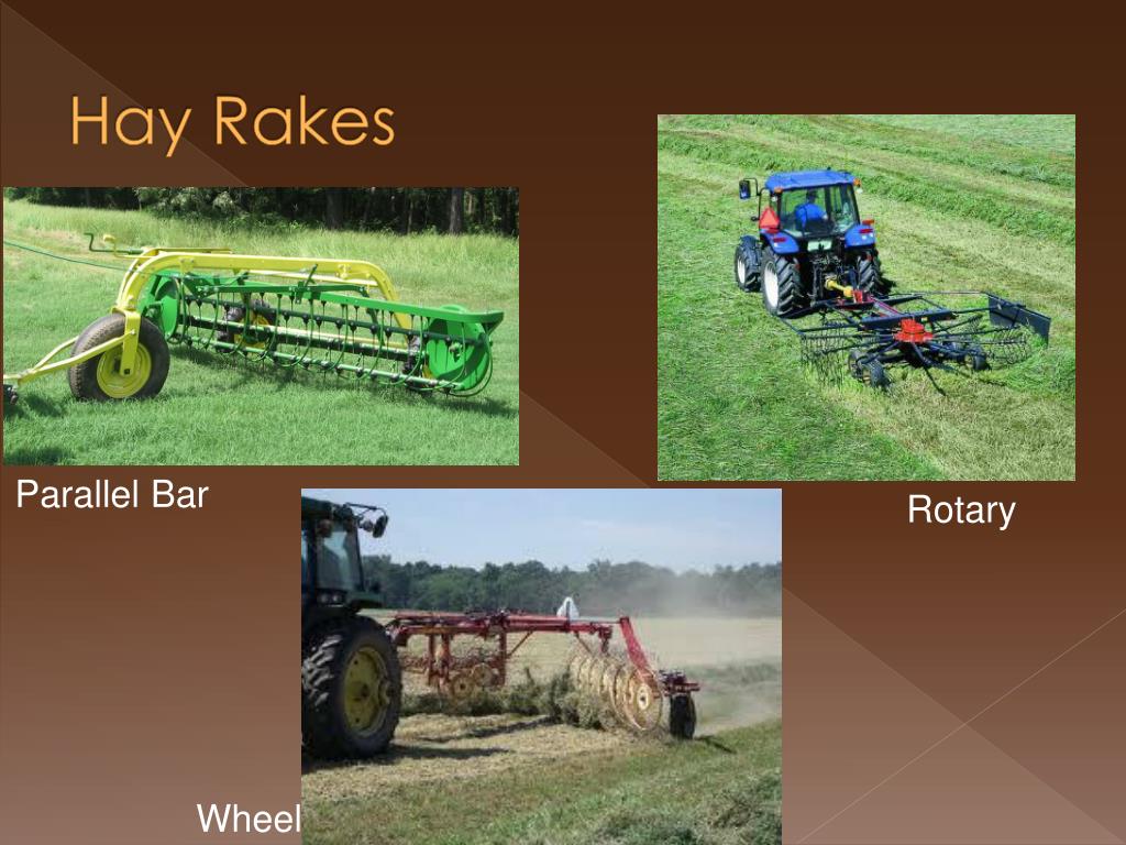 PPT - Animal, Plant & Soil Science E9-2 Growing Forage Crops PowerPoint ...