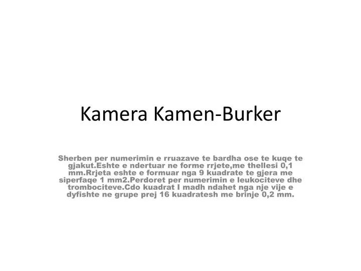 PPT - Kamera Kamen-Burker PowerPoint Presentation, free download - ID ...