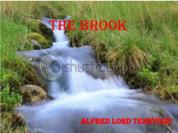 PPT - THE BROOK PowerPoint Presentation, free download - ID:2322181