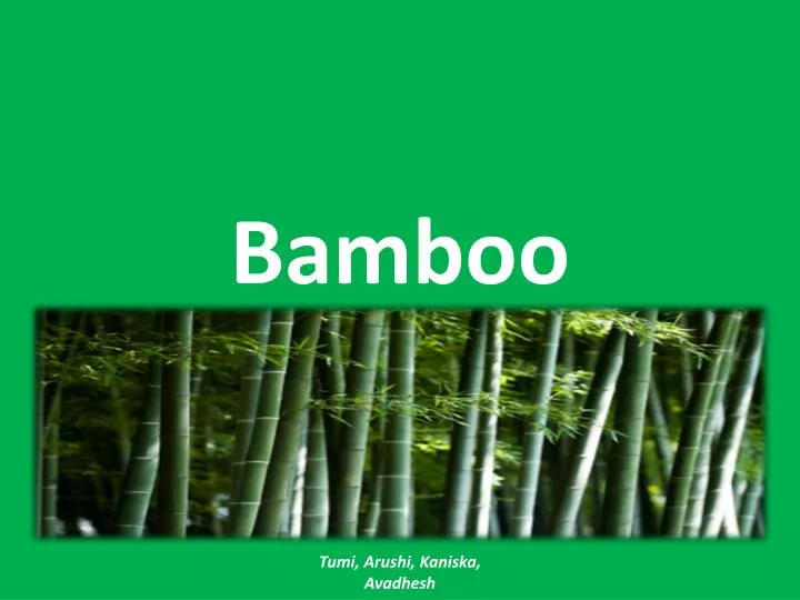 PPT - Bamboo PowerPoint Presentation, free download - ID:2323027