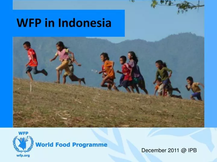 PPT - WFP in Indonesia PowerPoint Presentation, free download - ID:2323084