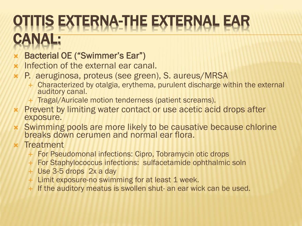 PPT - Otorhinolaryngology Disorders of the Ear, nose and throat ...