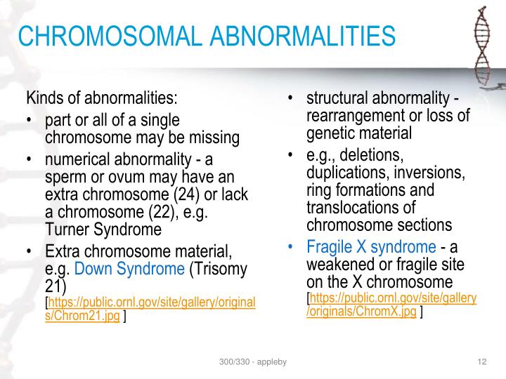 PPT - Patterns of Genetic Inheritance PowerPoint Presentation - ID:2323631