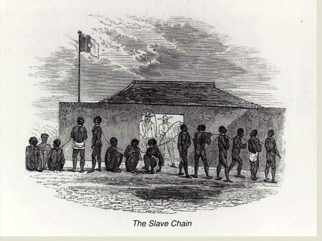 PPT - Slavery in America French & Indian War PowerPoint Presentation ...