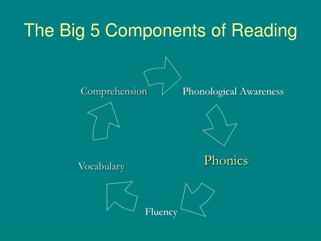 PPT - The BIG FIVE Components of Reading Phonics PowerPoint ... PPT - The BIG FIVE Components of Reading Phonics PowerPoint ...