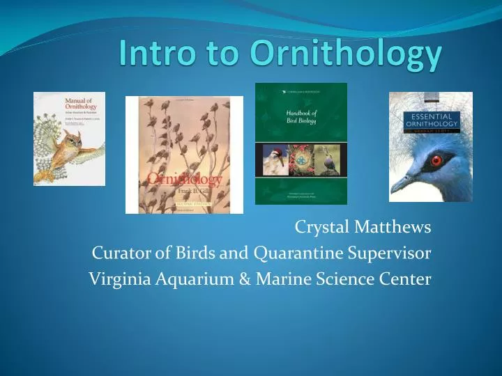 PPT - Intro to Ornithology PowerPoint Presentation, free download - ID ...