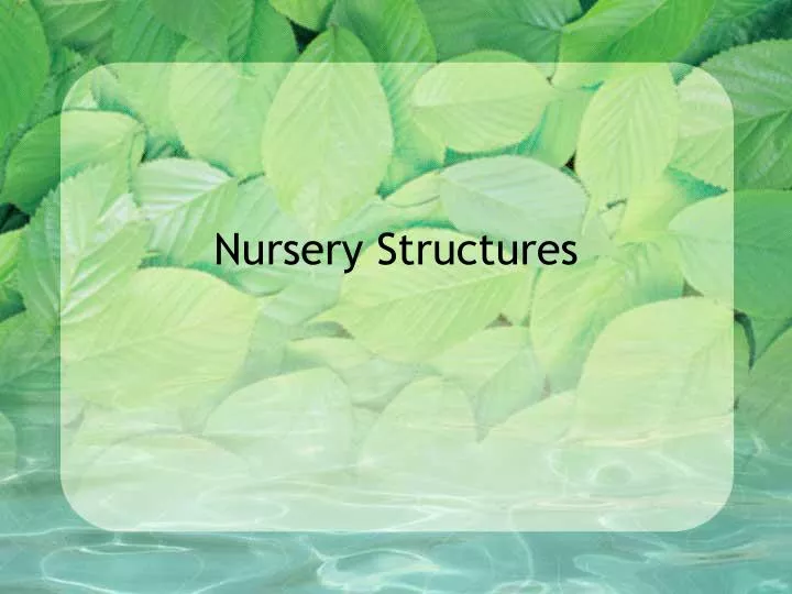 PPT - Nursery Structures PowerPoint Presentation, free download - ID ...