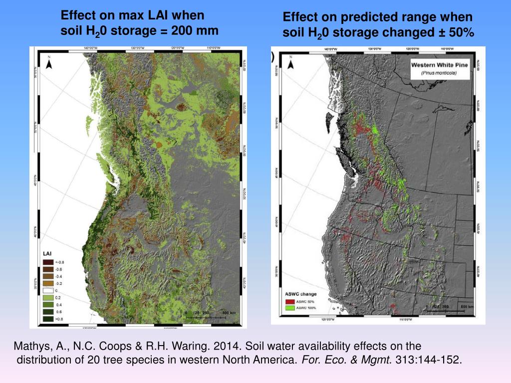 PPT - Richard Waring 1 Nicholas Coops 2 Amanda Mathys 2 Thomas Hilker 1 ...