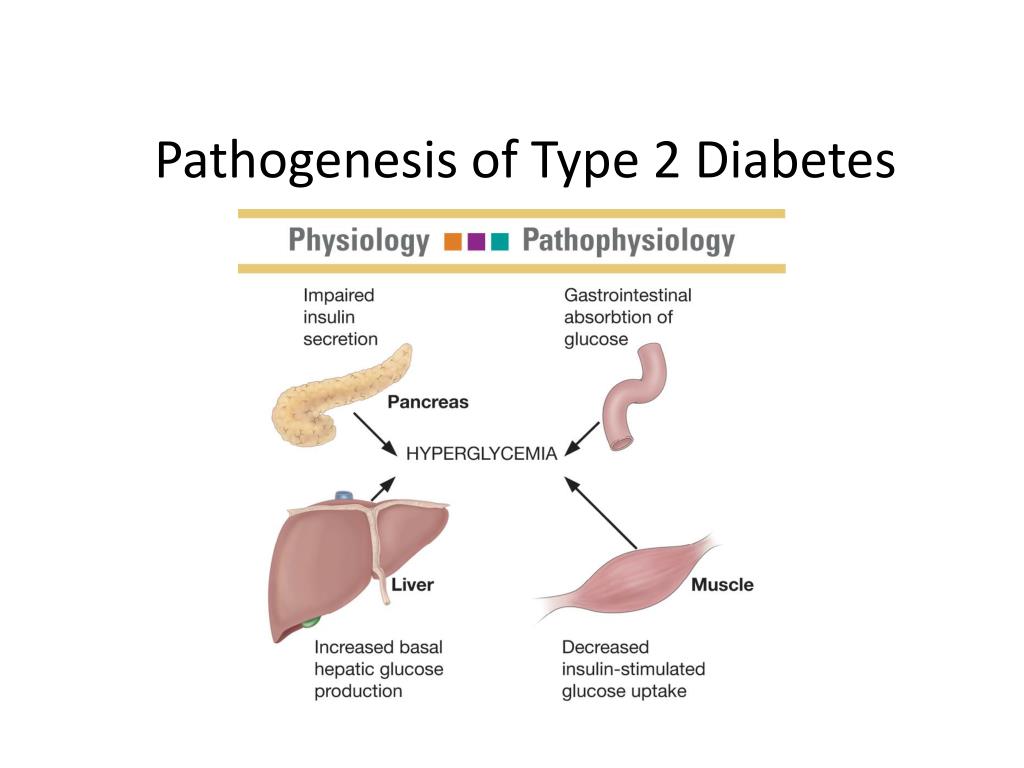 Ppt Chapter 41 Assessment And Management Of Patients With Diabetes