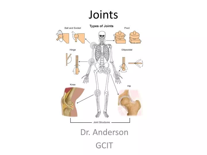 PPT - Joints PowerPoint Presentation, free download - ID:2325082
