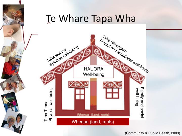 PPT - BN501 Session 10: Models of health in the New Zealand context ...