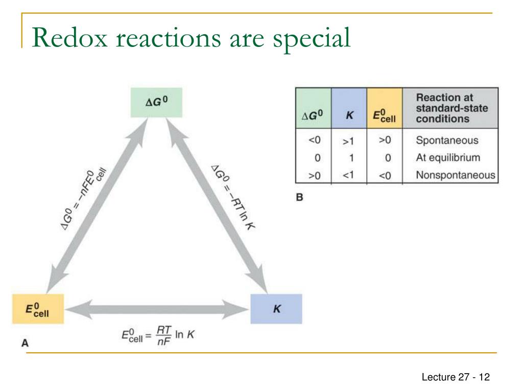 PPT - CHEM1612 - Pharmacy Week 9: Concentration Cells PowerPoint ...