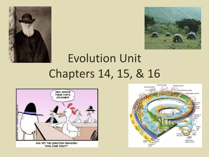PPT - Evolution Unit Chapters 14, 15, & 16 PowerPoint Presentation - ID ...