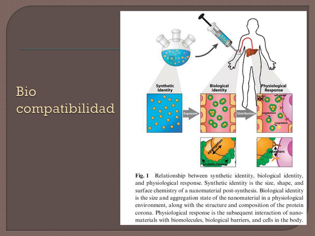 PPT - Escuela de Nanotecnología y Nanociencia 2011 PowerPoint ...