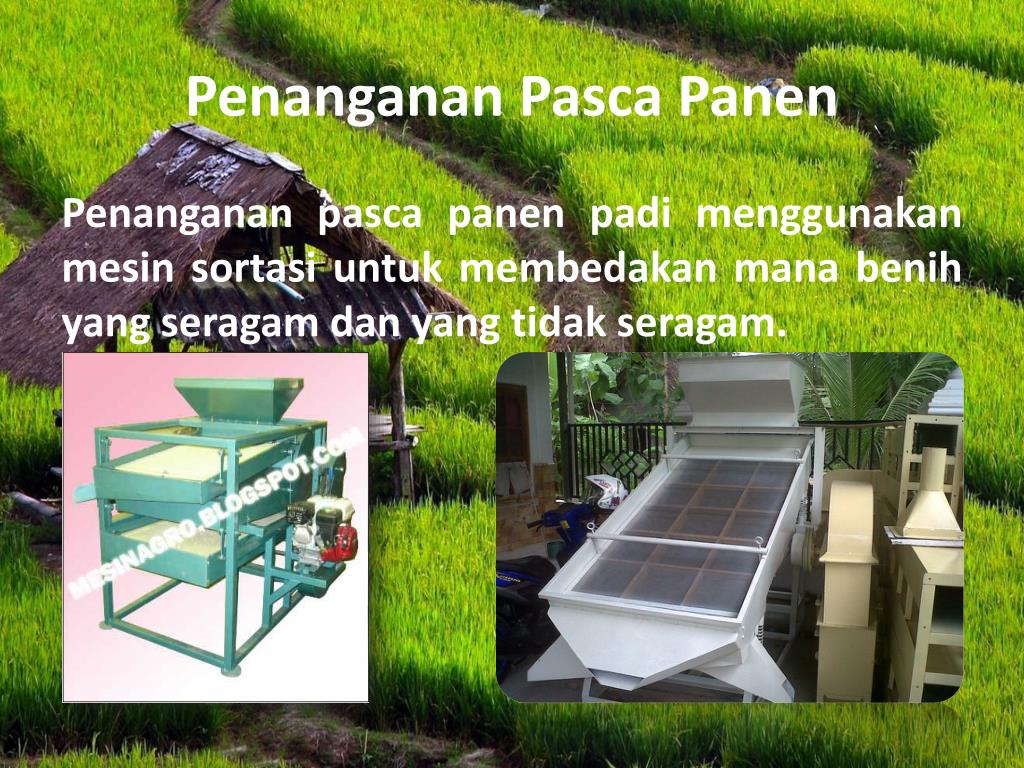PPT - MEKANISASI PEMBUDIDAYAAN PADI PowerPoint Presentation, free ...