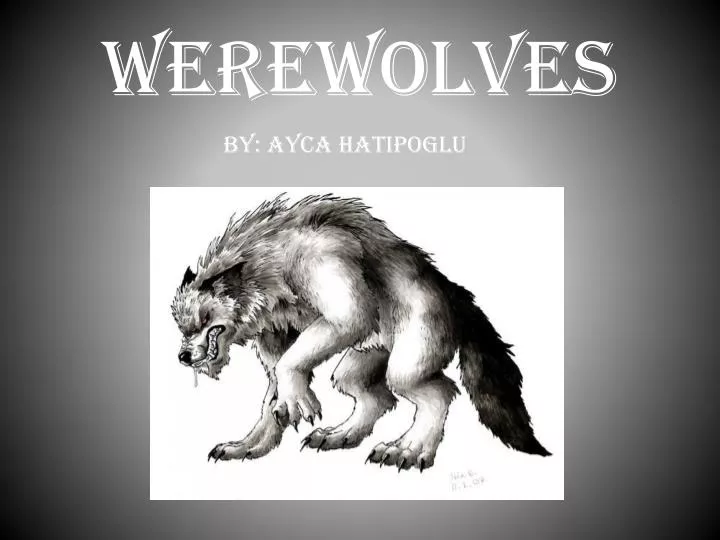 PPT - WEREWOLVES PowerPoint Presentation, free download - ID:2325856