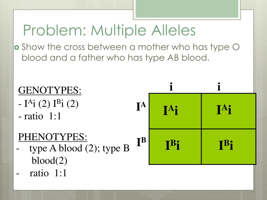 PPT Genetics Multiple Alleles PowerPoint Presentation Free Download 
