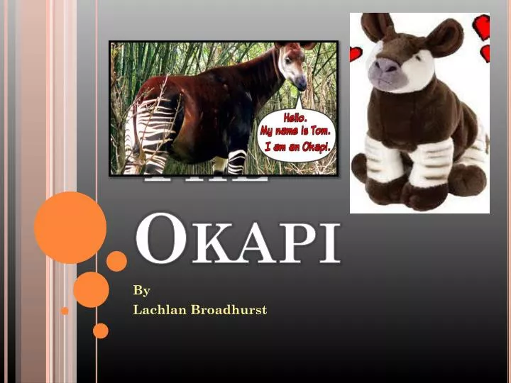 PPT - The Okapi PowerPoint Presentation, free download - ID:2326191