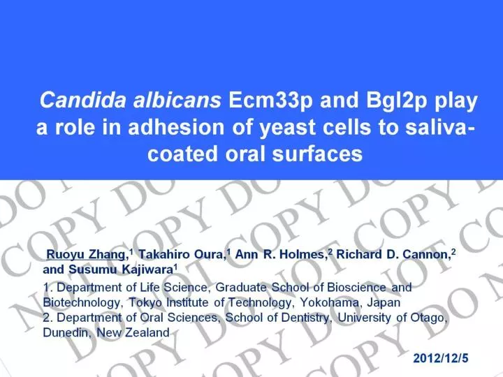 PPT - Candida albicans PowerPoint Presentation, free download - ID:2326557